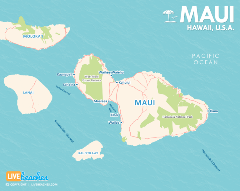 Maui Sea Shell Condo Beach Cam - Live Beaches