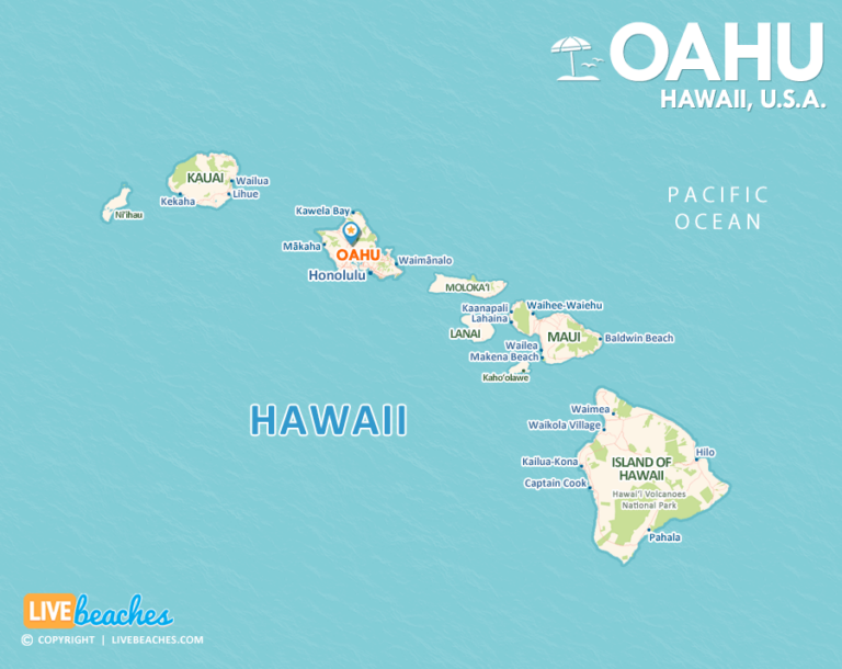 Waimea Bay, Oahu Surf Cam by Surfline - Live Beaches