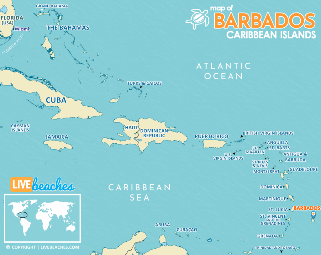 Pebbles Beach Live Cam in Barbados - Live Beaches