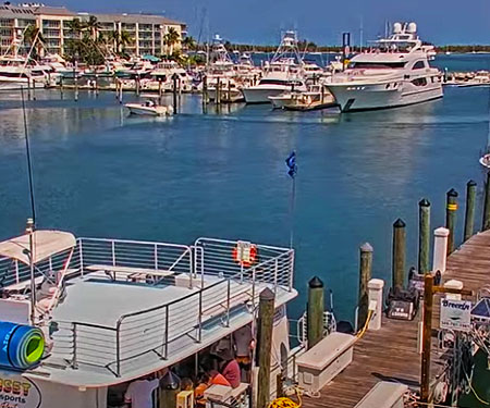 The Key West Bight Marina & Historic Seaport Live Webcam